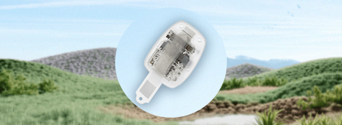 Neuralink Co-Founder Unveils a Visual Prosthesis for Patients with ...